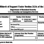 What is an Affidavit of Support (Form I-864), and Do I Need One? (Part ...